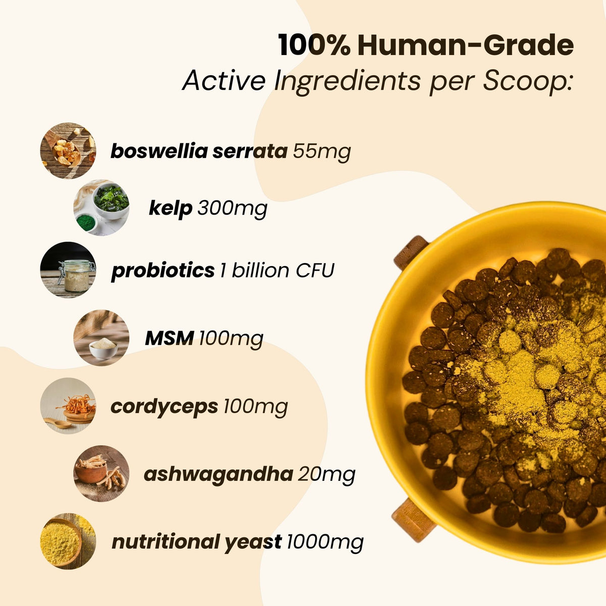 All-In-One Complete Daily Dog Supplement