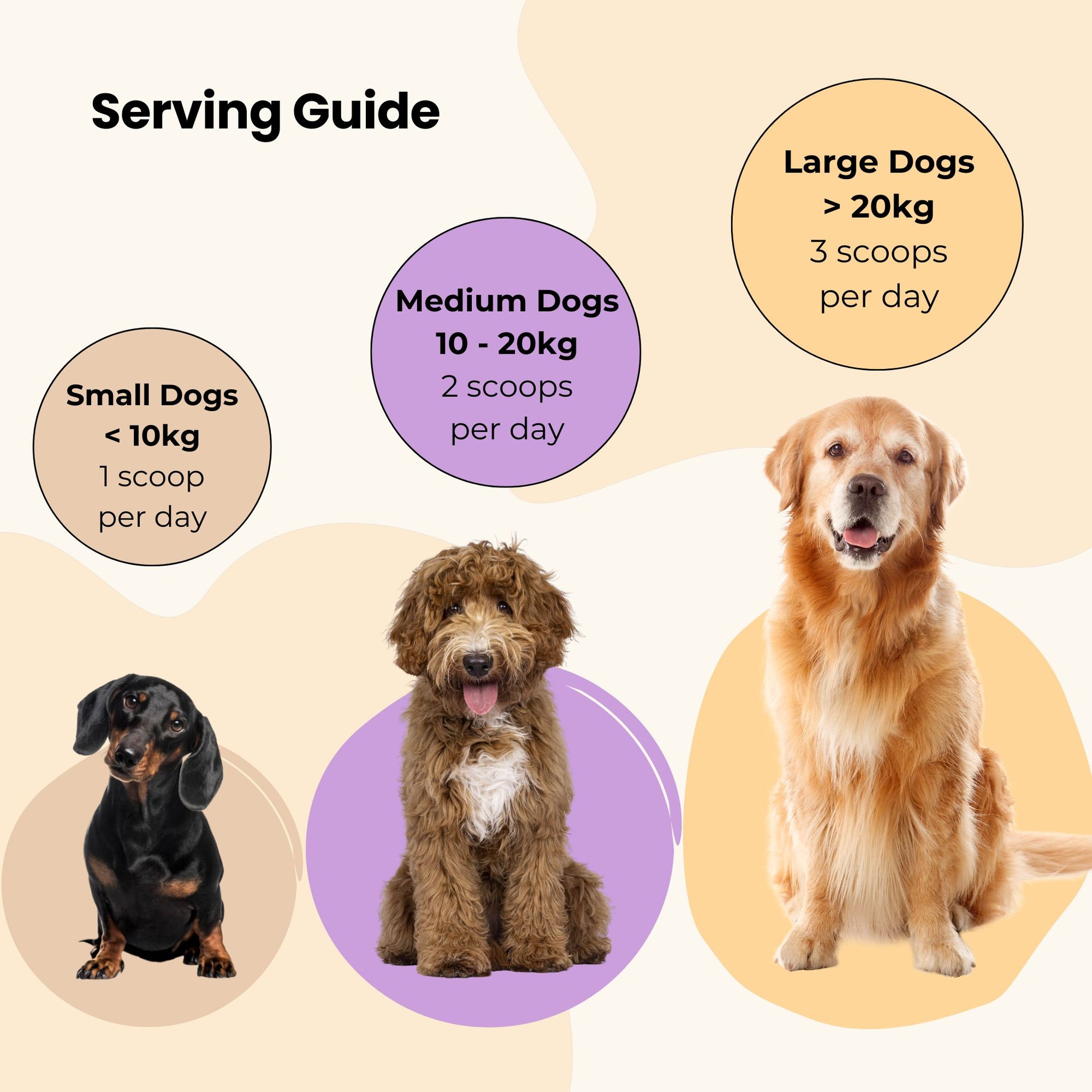 All-In-One Complete Daily Dog Supplement